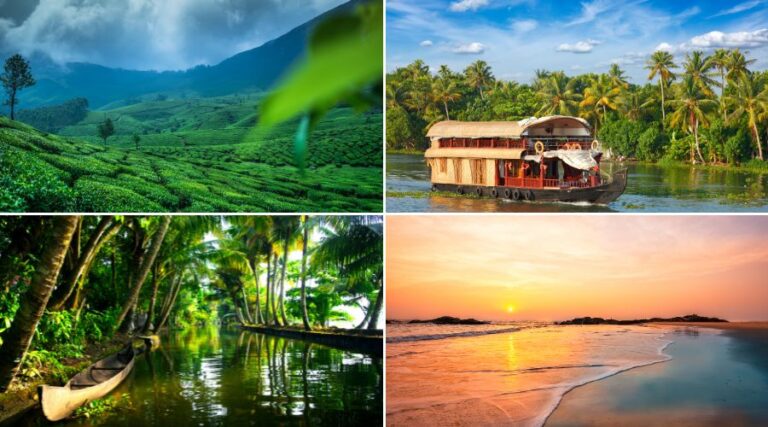 ( 7 Nights / 8 Days) Kerala Tour Packages with Itinerary & Price